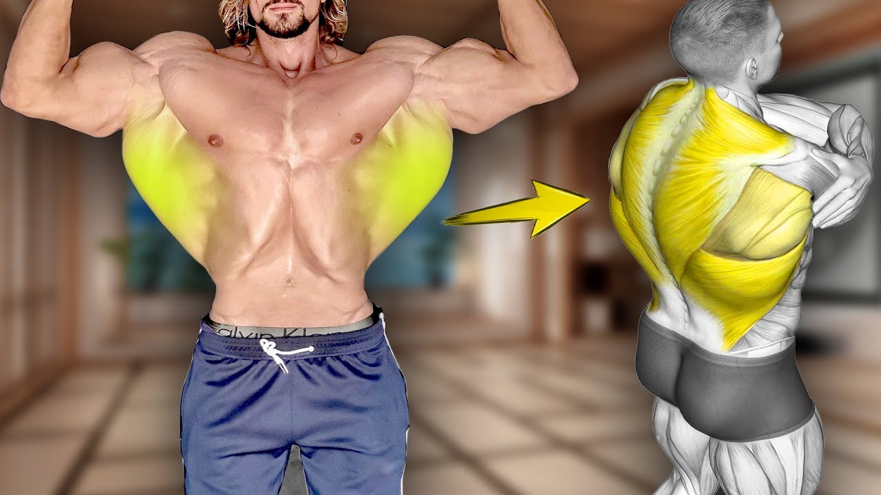 How To Grow Your Back (6 Effective Exercises) - YouTube