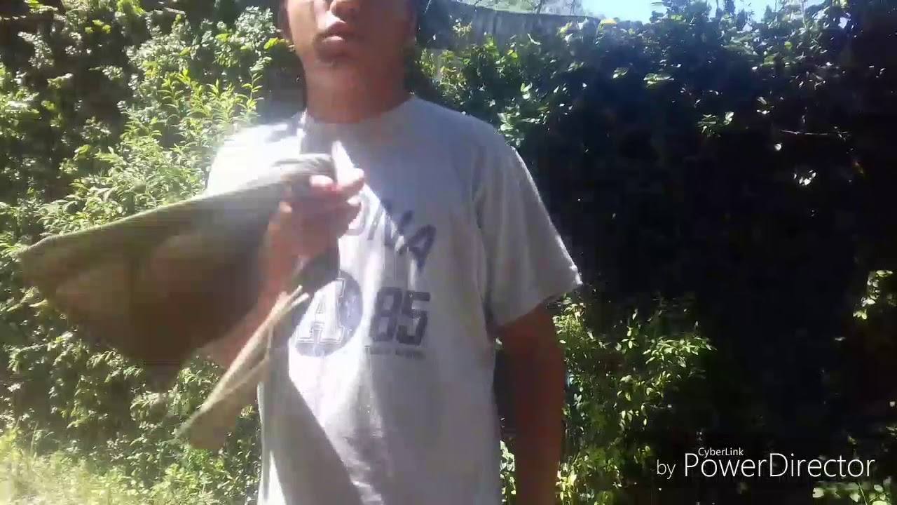 KING LOLO-VIVO TRANQULO (OFICCIAL VIDEO) - YouTube