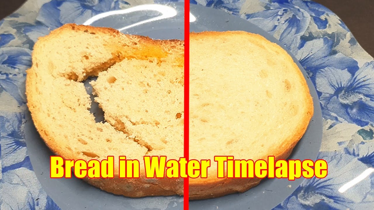 Bread in Water Timelapse - [macro] - YouTube