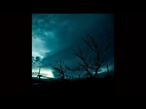 Audelaire - TTTT (At Night)