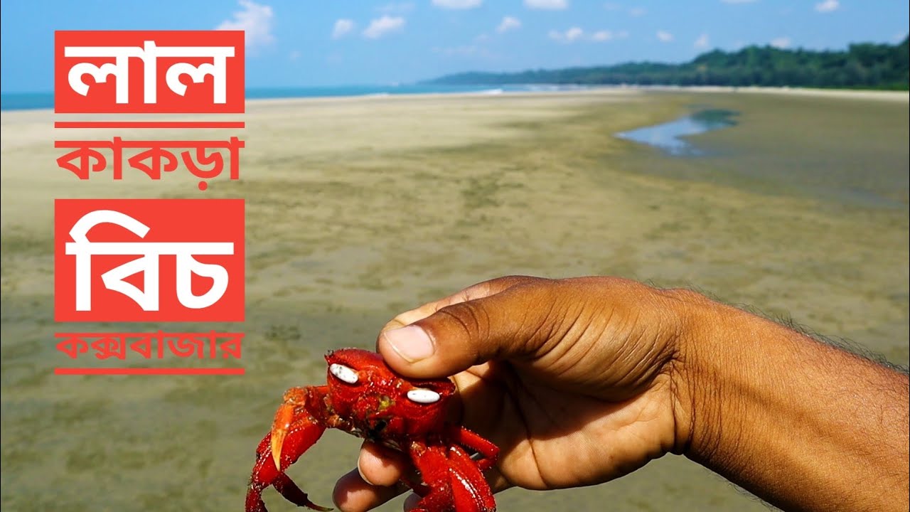 লাল কাঁকড়া বিচ কক্সবাজার || Lal Kakra Beach Cox’s Bazar || Roki ...