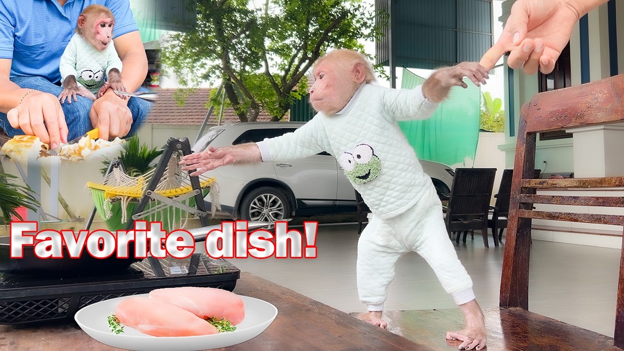 Bibi prepares ingredients to ask dad to cook chicken! - YouTube