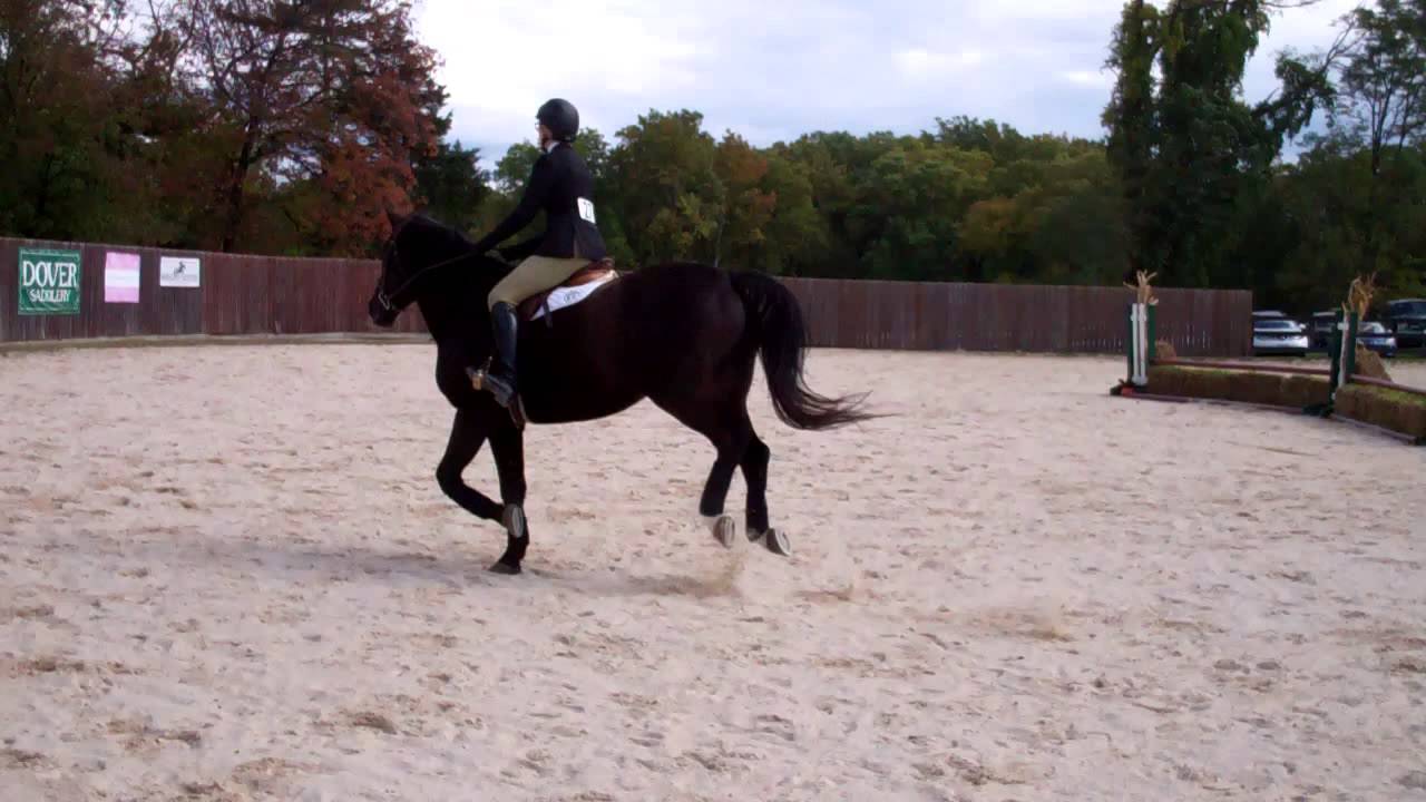 Anna Carmichael & Empire - Novice Fences - Goucher IHSA - October 17 ...