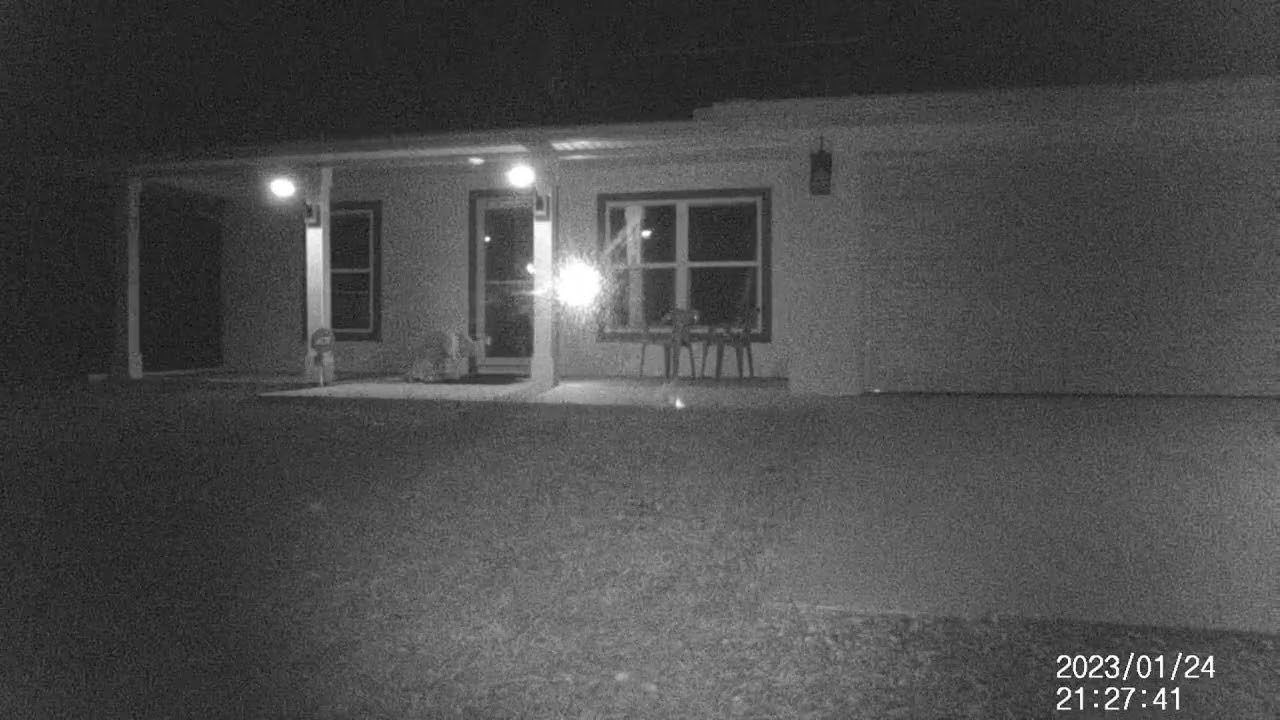 Frankie's outside 2am, security cam caught him..... - YouTube