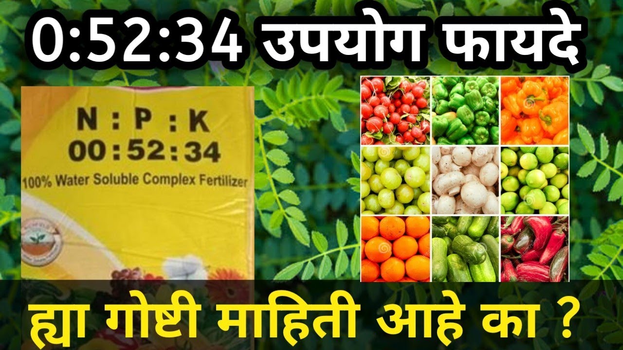 NPK 0 52 34 NPK 0 52 34 Uses And Benefit 0 52 34