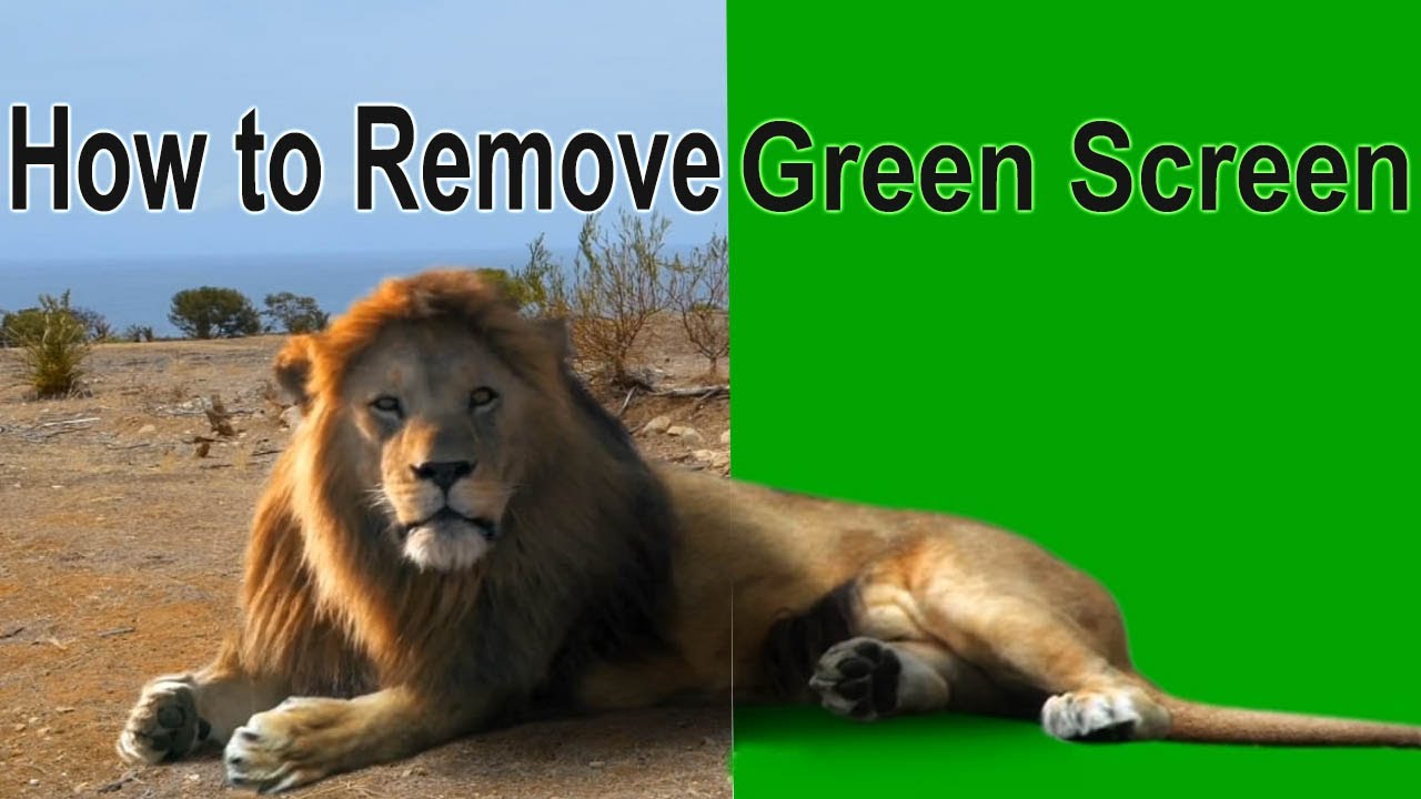 How To Remove Green Screen In Adobe After Effects Cc Tutorial Remove Green Screen In After how-to-remove-green-screen-in-adobe-after-effects-cc-tutorial-remove-green-screen-in-after