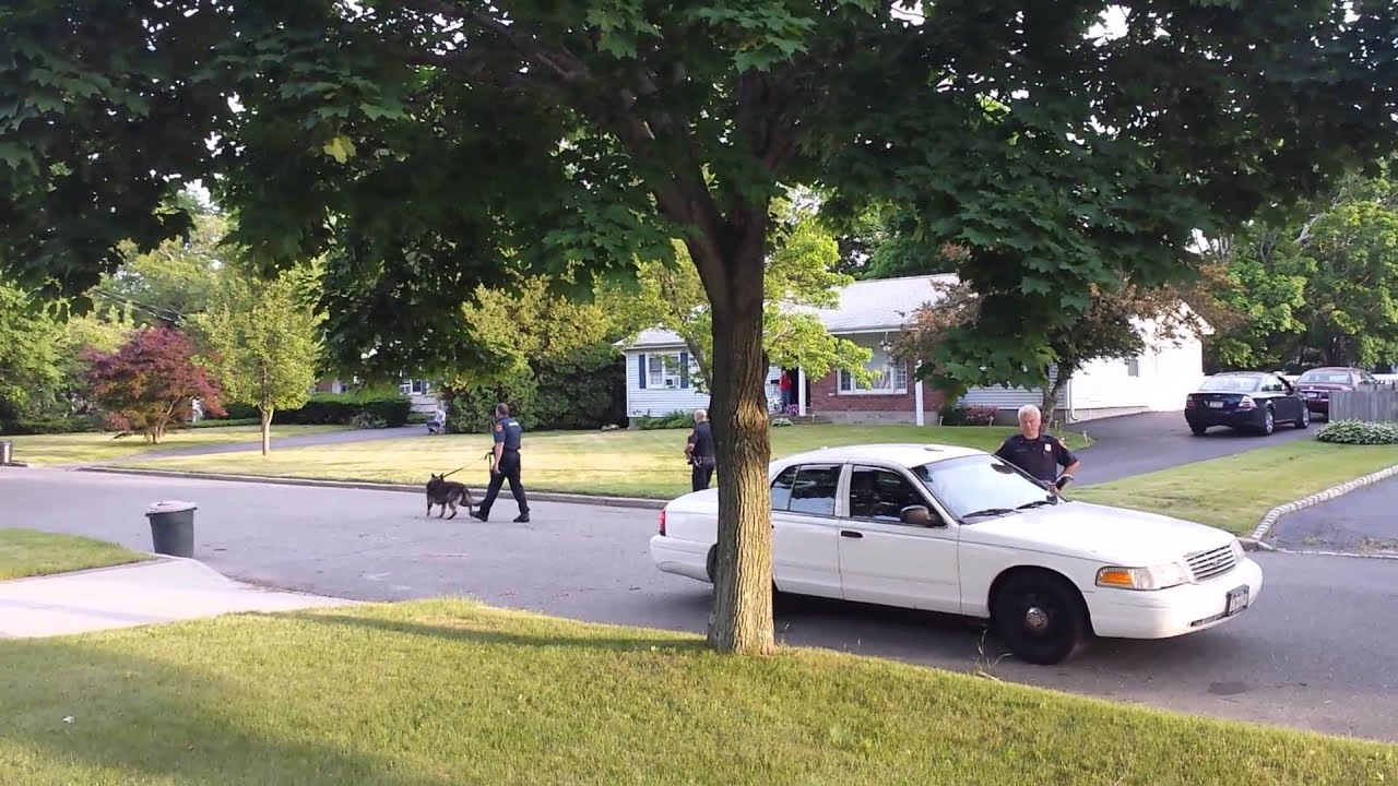 Filming the police pt 3 - YouTube