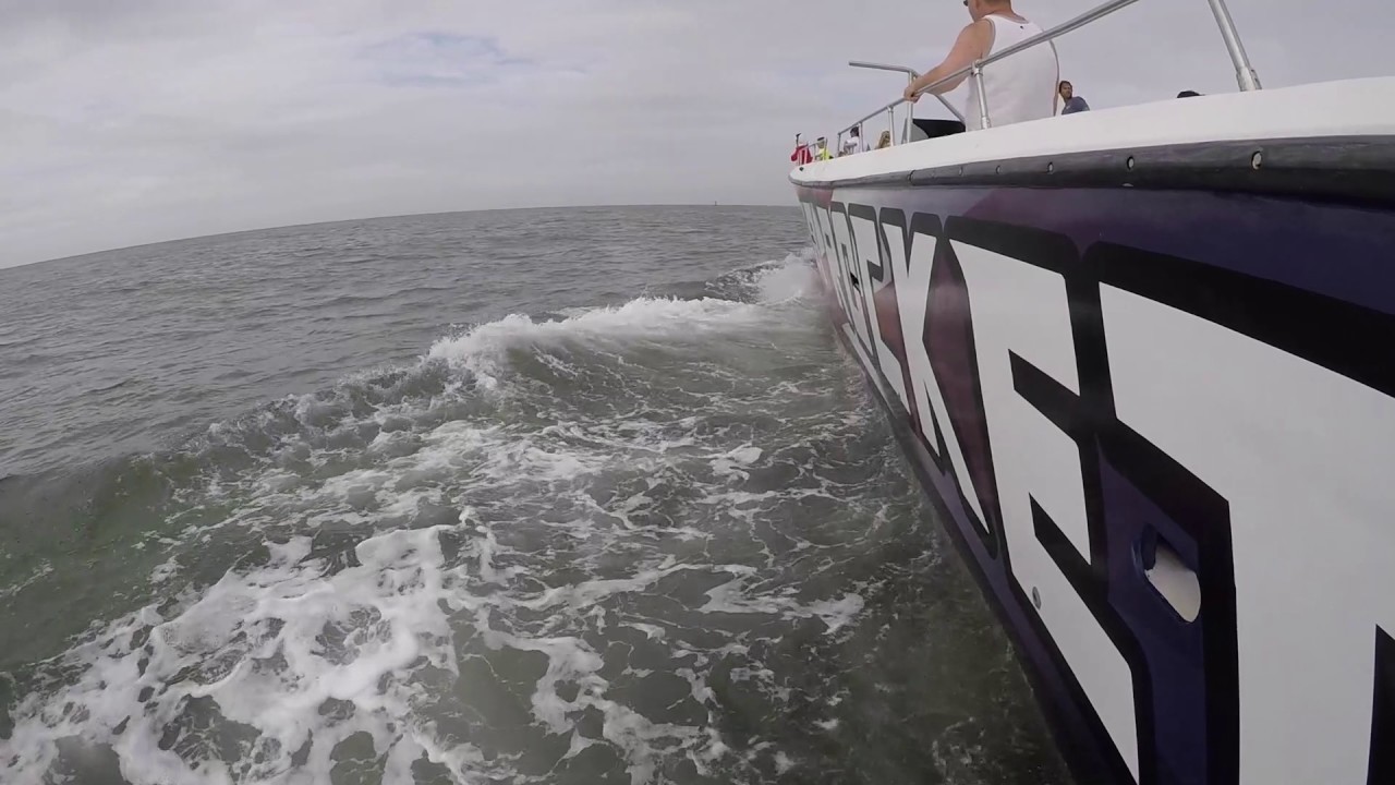 Dolphins on the Sea Rocket - YouTube