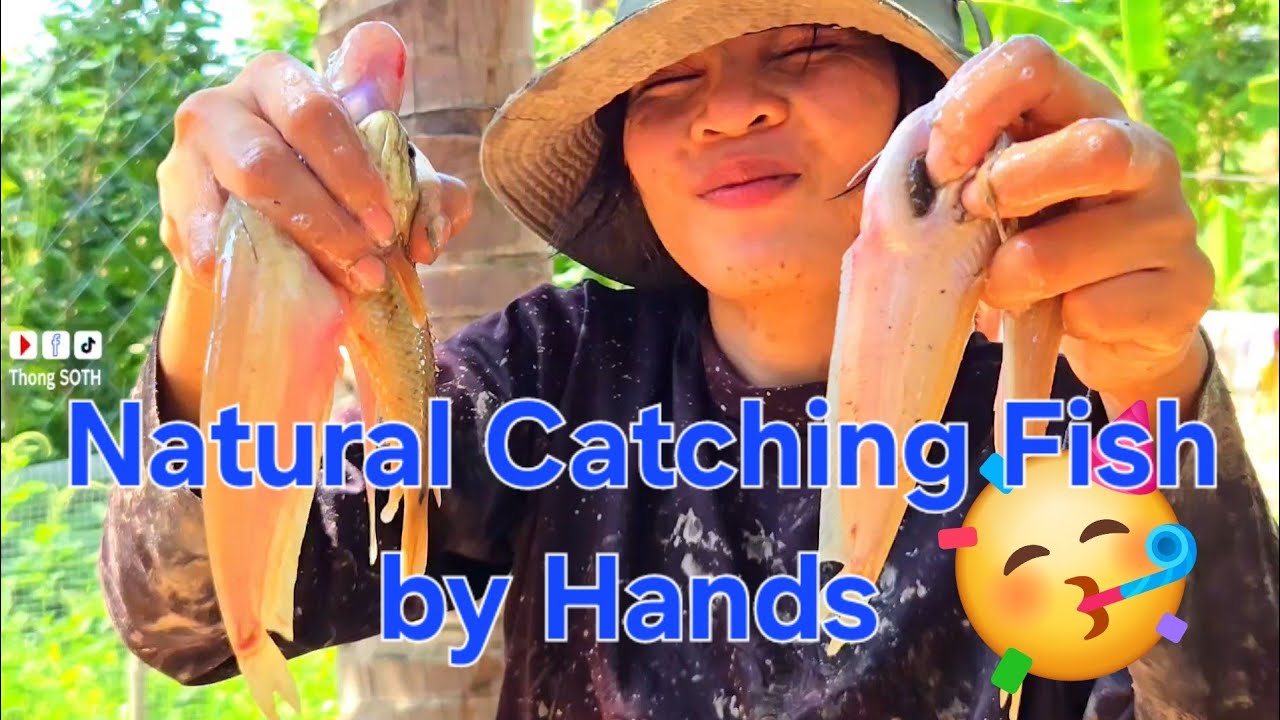 Easy Pond Fishing Techniques Survival Fishing Catching Fish by Hands Only! - YouTube