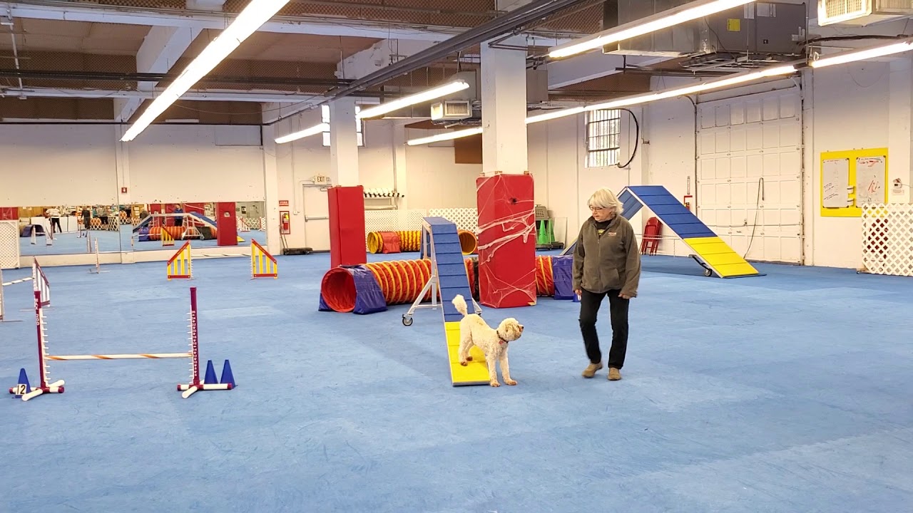 Bart, class, 10.16.19 - YouTube