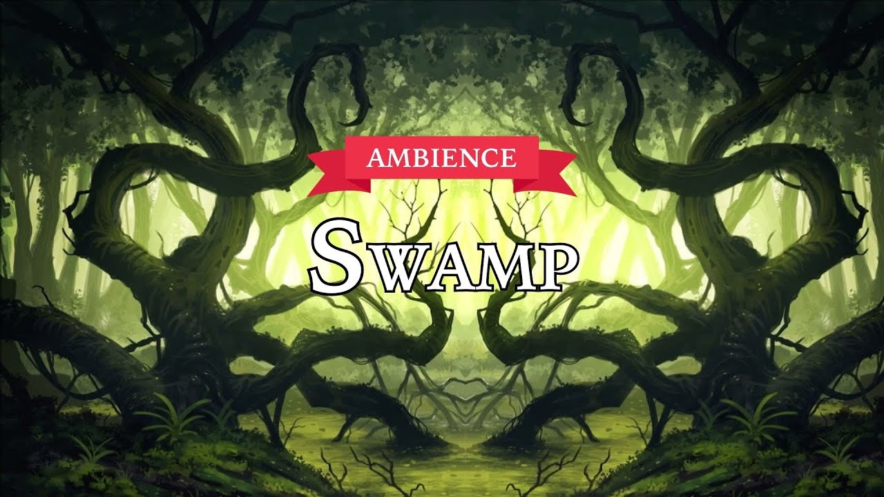 Swamp l D&D l Ambience 2023 - YouTube