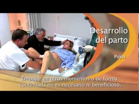 Parto: desarrollo del parto.