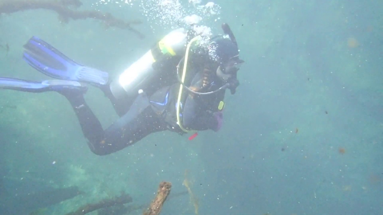 SCUBA Diving Wacissa Big Blue Spring with Tallahassee SCUBA instructor ...