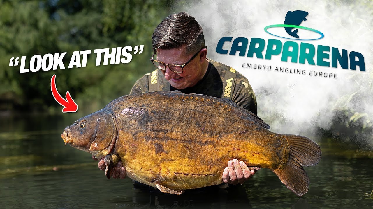 'Proper' Fishing at Carp Arena (Belgium) | Danny Fairbrass - YouTube