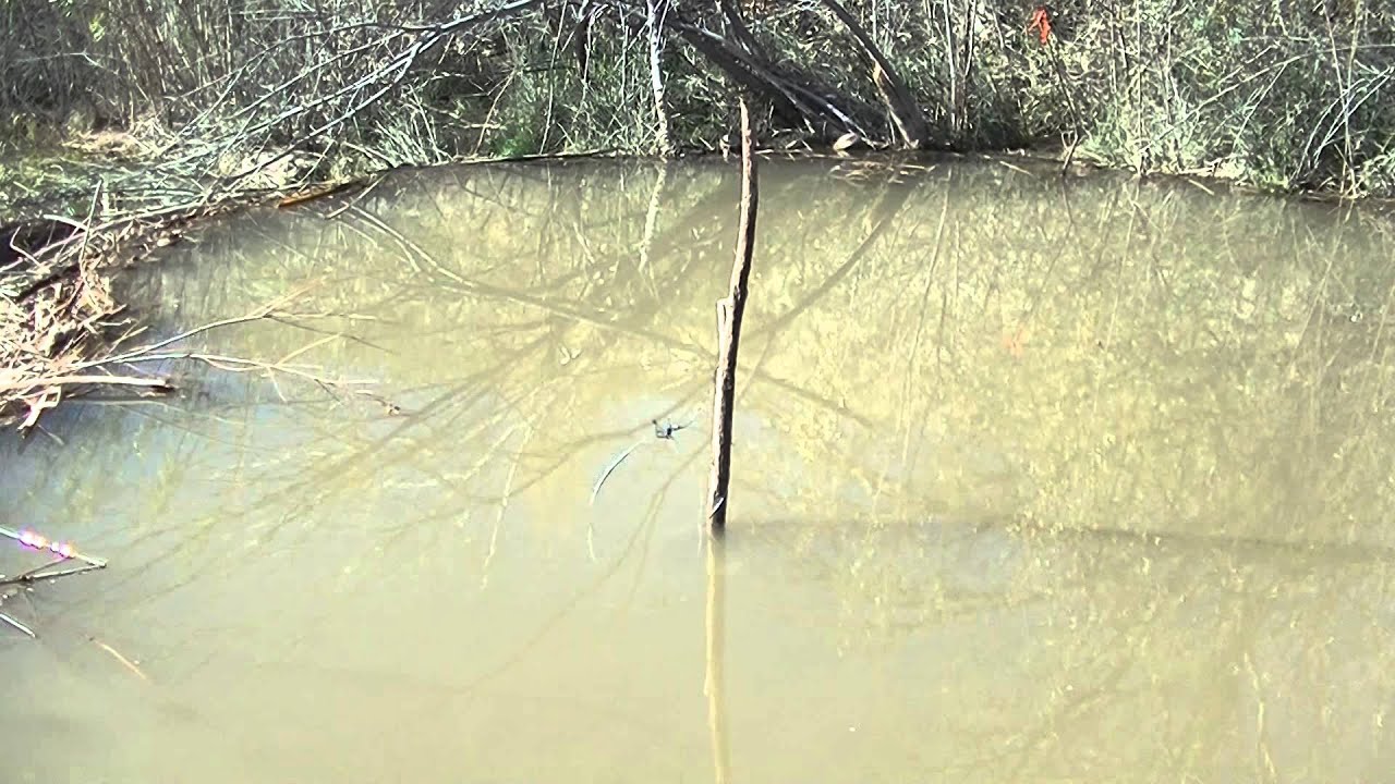 Bucket Snare Set for Beaver - YouTube