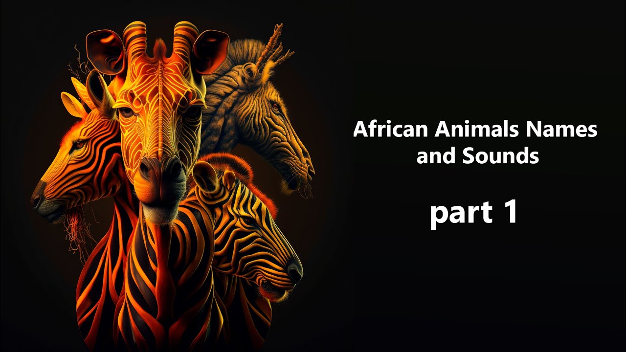African Animals Names and Sounds | part 1 - YouTube