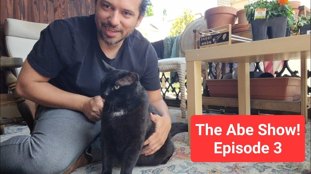 The Abe Show! Episode 3: Abe got sick, and more brushing - YouTube