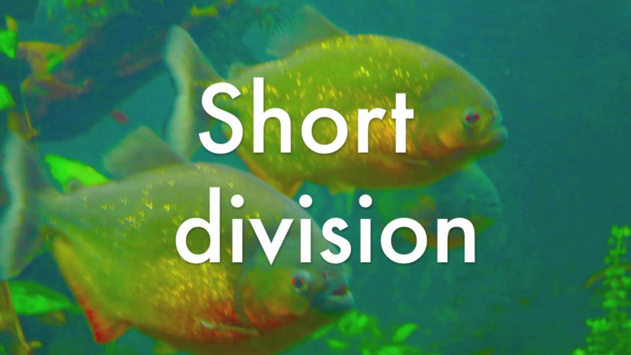 How To Do Short Division With Remainders YouTube How To Do Short Division With Remainders YouTube
