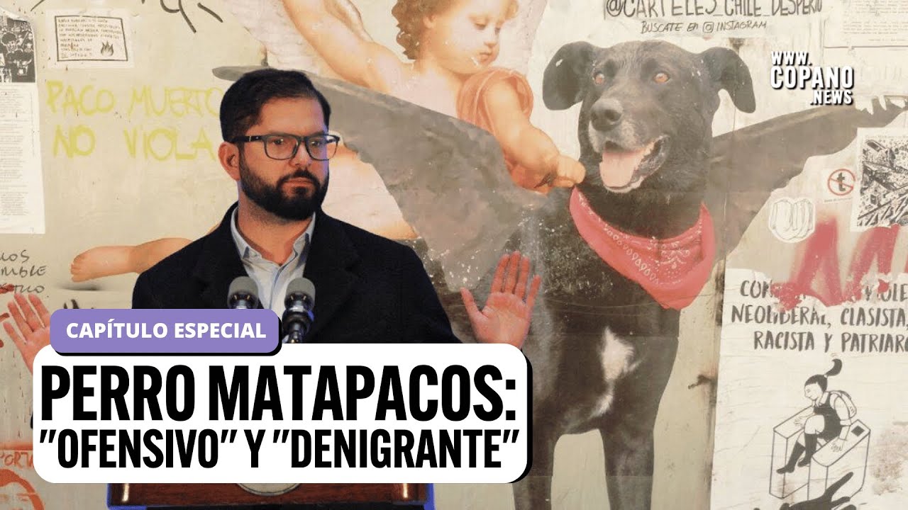 Boric reniega del Perro Matapacos en cadena nacional de la Archi - YouTube