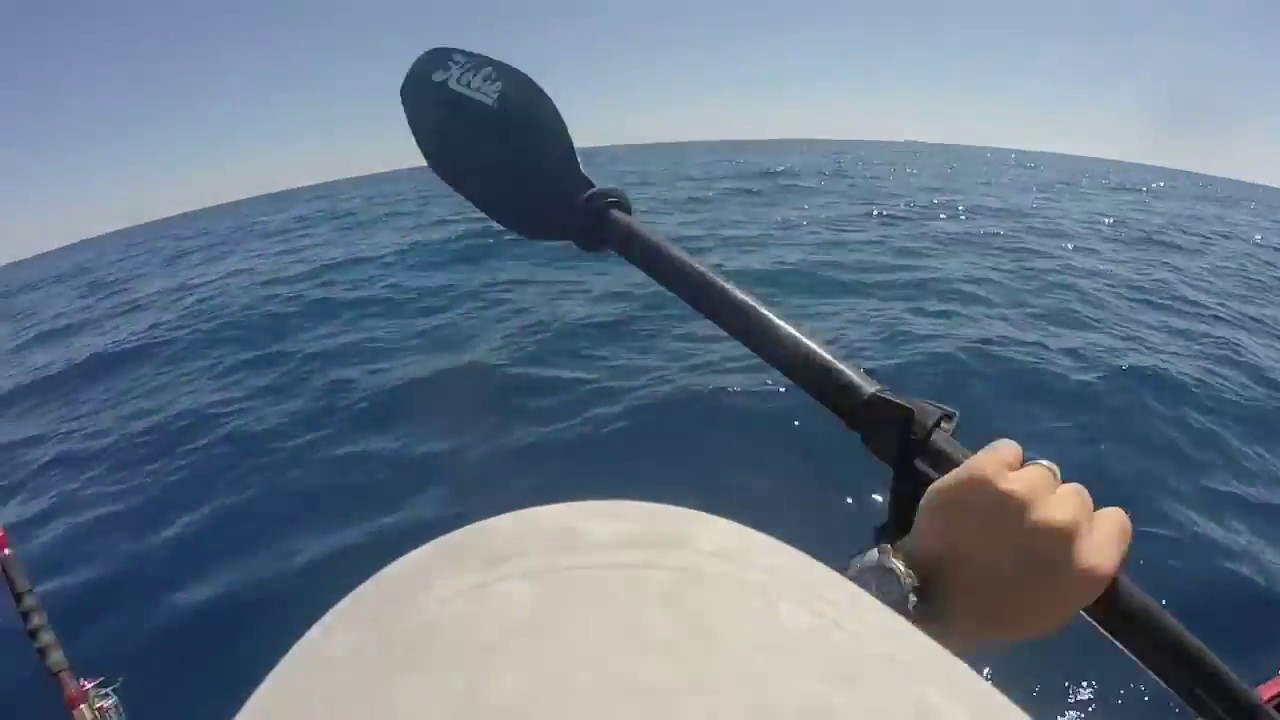 Kayak Viking Profish Reload in action. Pesca kayak Anjova, pesca ...