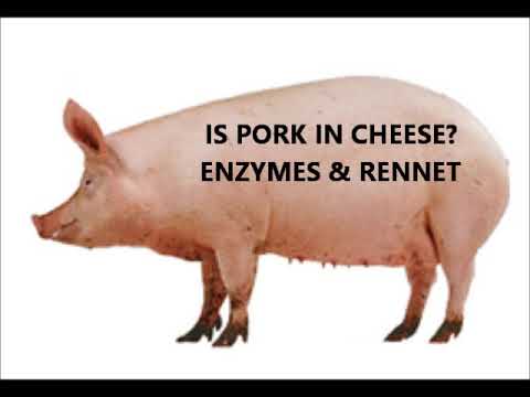 What Cheese Does Have Pork Enzymes