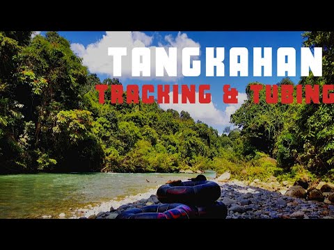 Tangkahan The Real Hidden Paradise - Langkat Sumatera Utara - YouTube