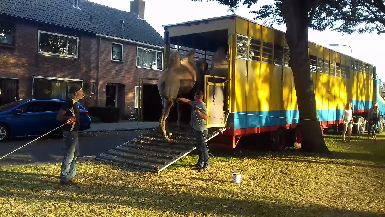 Circus renz castricum afbouw 2017 - YouTube