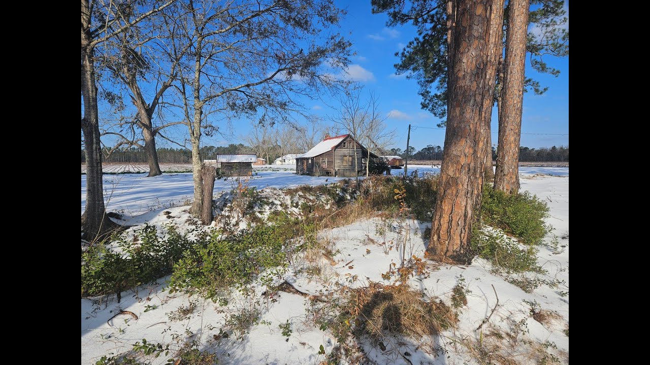 snow walk to cabin and sling with Jojo - YouTube