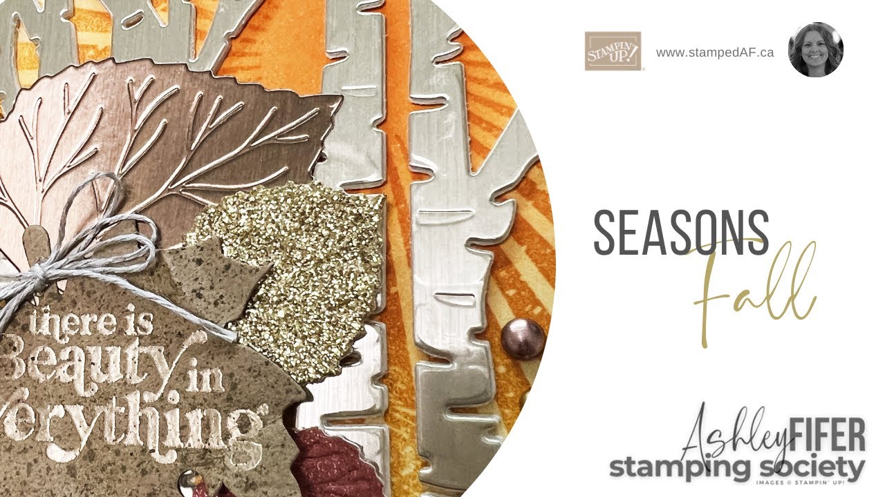 Perched in a Tree Seasons - YouTube