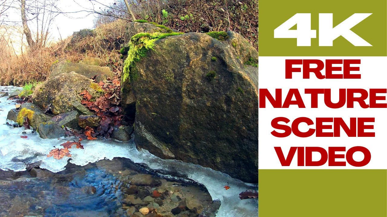 nature 4K 077 👉 Nature Scene Video - YouTube