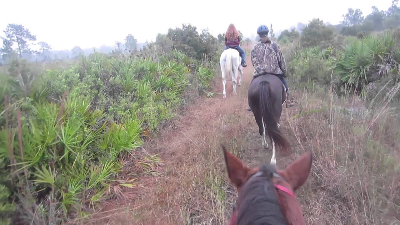 Bit of Hope Ranch Trail Ride Nov 30, 2013 - YouTube