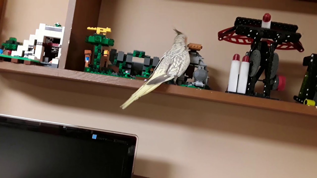 Pepper's Adventure, Part 4: Minecraft. - YouTube