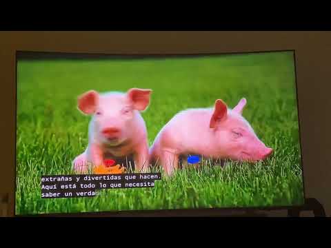 Animal FanPedia - YouTube