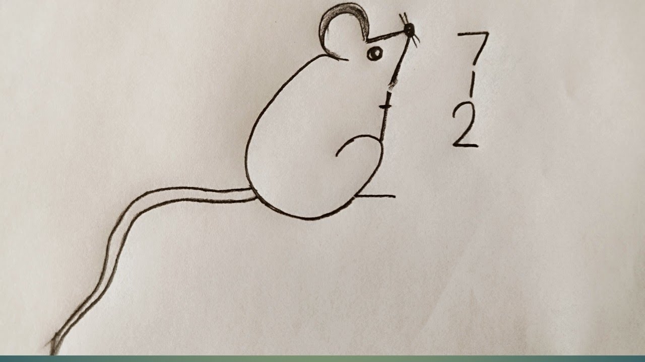 How To Draw A Mouse With Numbers || How To Draw A Realistic Mouse - YouTube