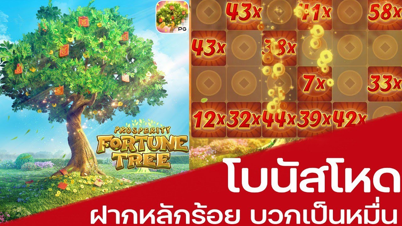 Prosperity Fortune Tree slotpg เกมใหม่pg โบนัสโหด ทุนร้อย บวกหมื่น ...