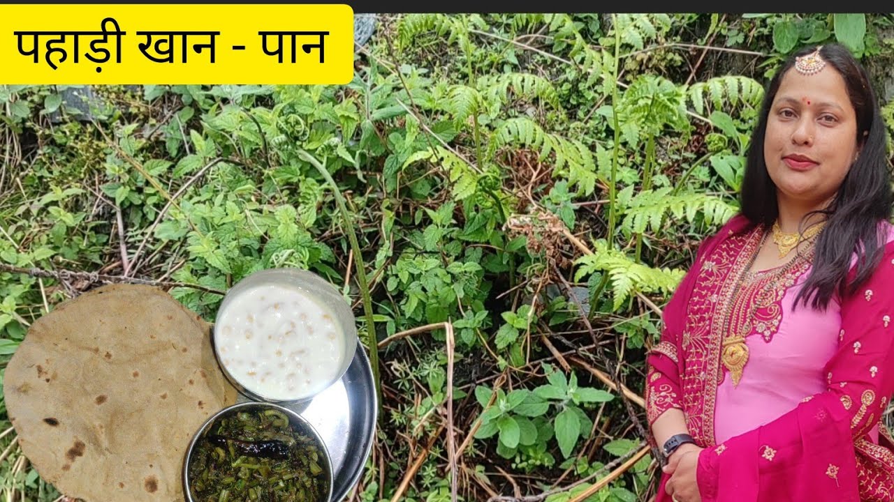 || पहाड़ी खान - पान || himachali pahadi Wild vegetable || - YouTube