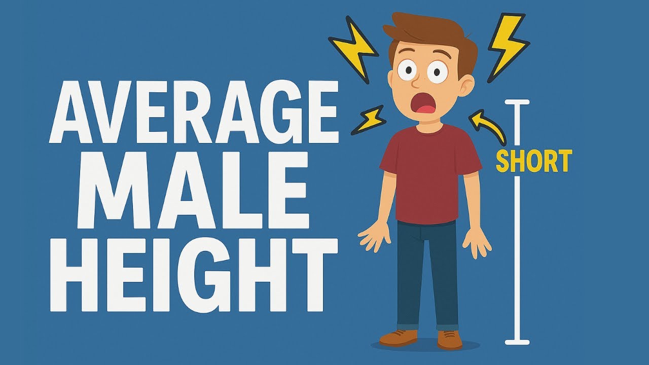Average Height for Men in Netherlands - YouTube