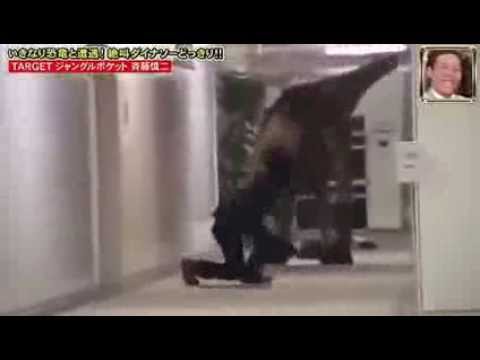 En Acımasız Japon Şakası, Dinazor Şakası