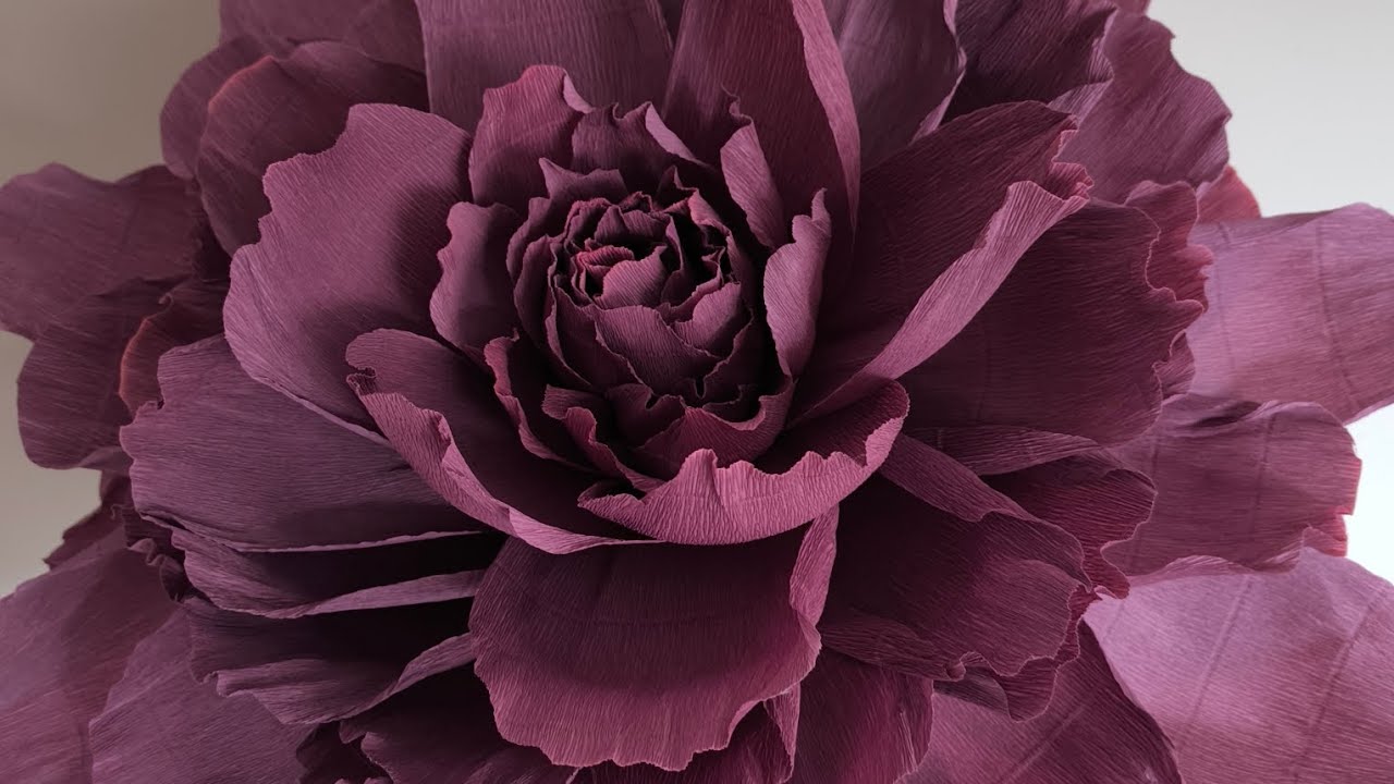 Gigantyczny kwiatek z krepiny do łodygi - YouTube