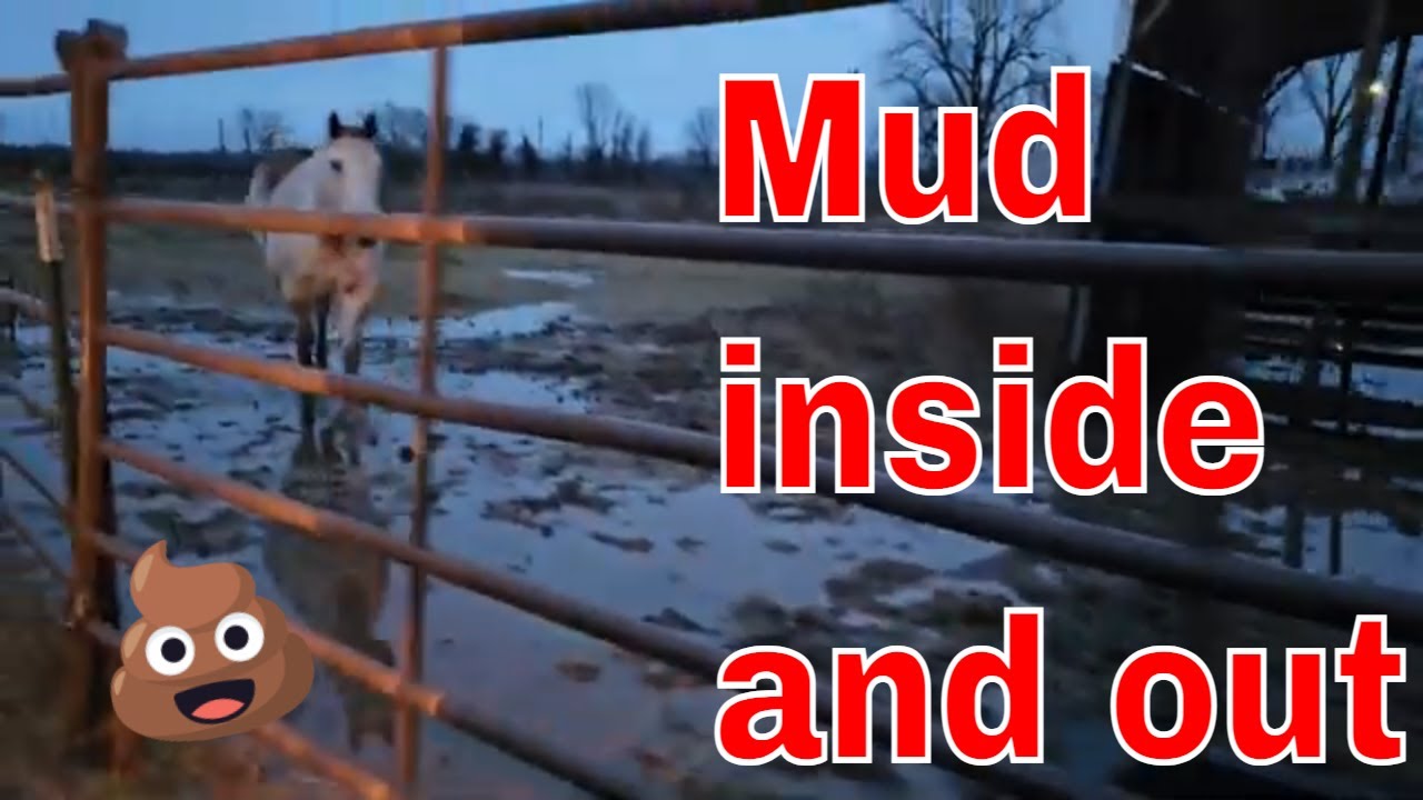 Muddy Mess on the Homestead - YouTube