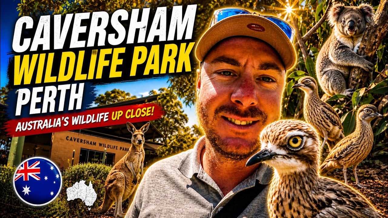 Caversham Wildlife Park - Perth - YouTube