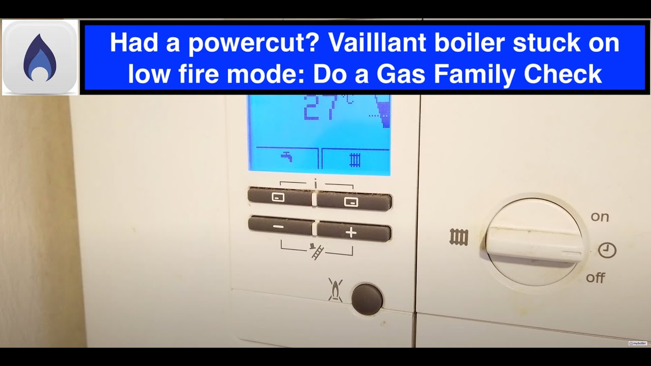How to carry out a Vaillant gas family check for servicing or to ...