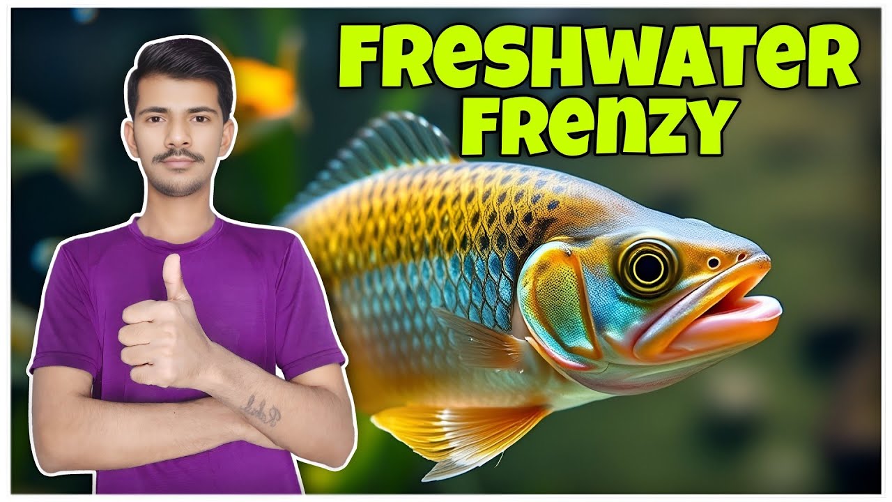Freshwater Frenzy! What's The Best River Fish For Your Aquarium? - YouTube