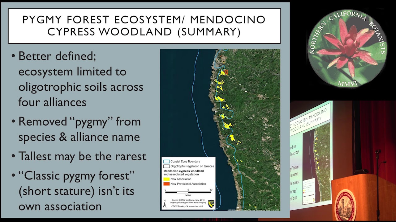 Using vegetation classification and mapping to demystify and protect ...