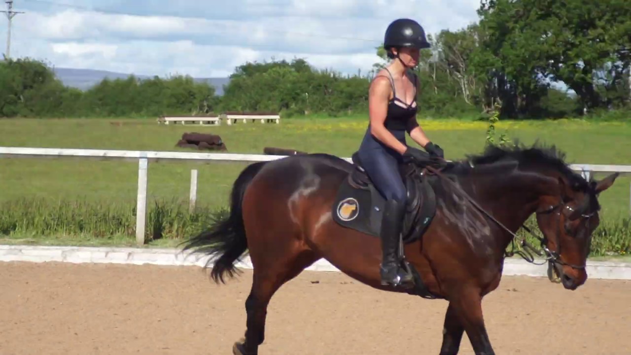 Deborah Priestley - Primitive Promise - Greenlands Equestrian Centre ...