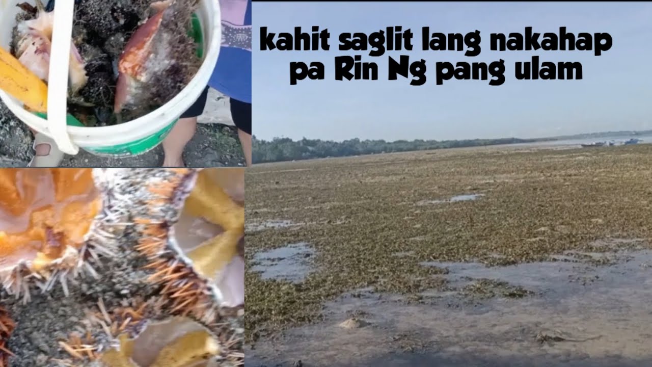 Hanap Pang ulam, @kityanschannel1291 - YouTube