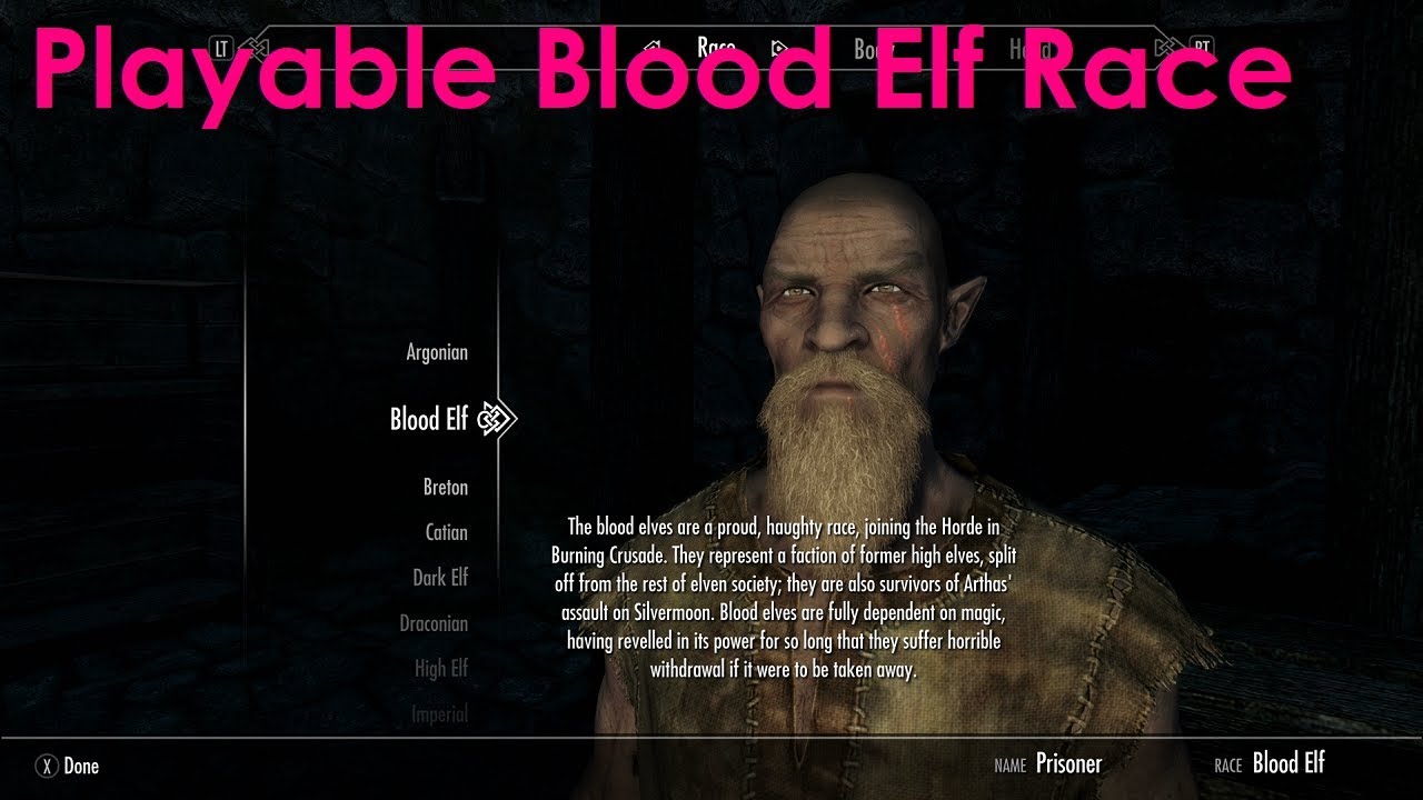 Skyrim Special Edition Mod Review Playable Blood Elf Race - YouTube