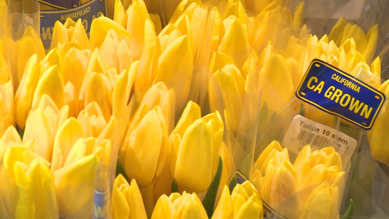 Celebrating California Grown Flowers Month with Safeway - YouTube