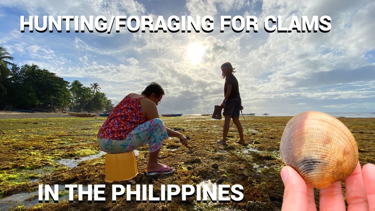Life In The Province PHILIPPINES | Hunting/Foraging for Clams - YouTube