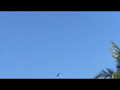 Reaseal - YouTube